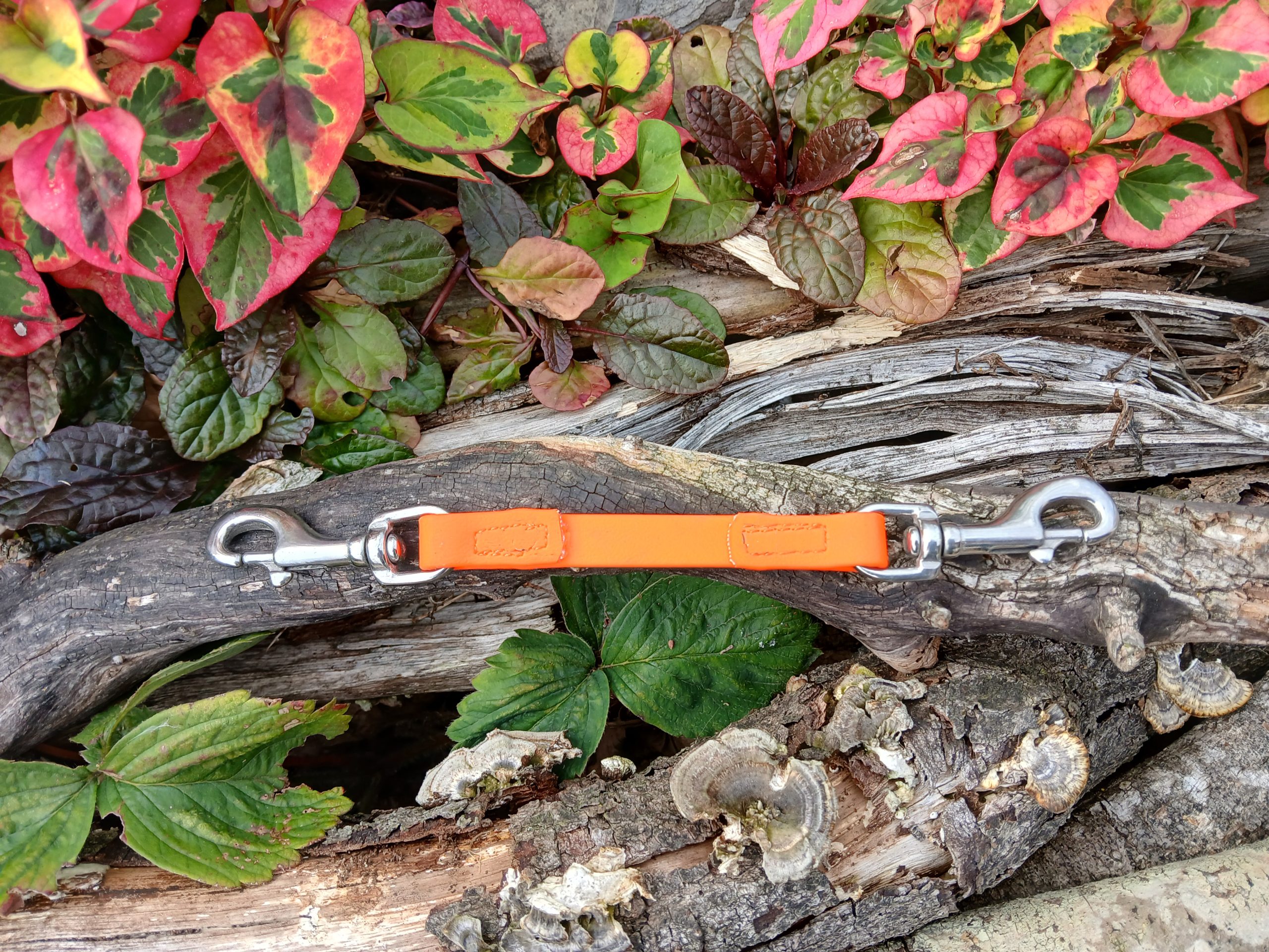 Safety Strap Beta Biothane - DeZign A Dog Collar